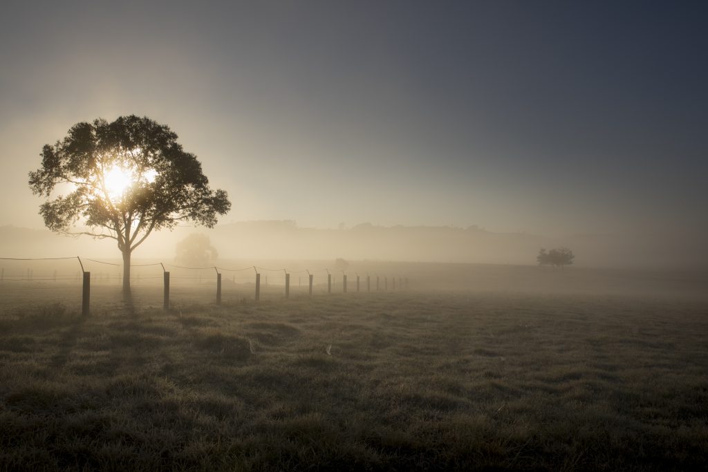 LIVMEDIA – Collaborative Communications | Marketing, Media and More